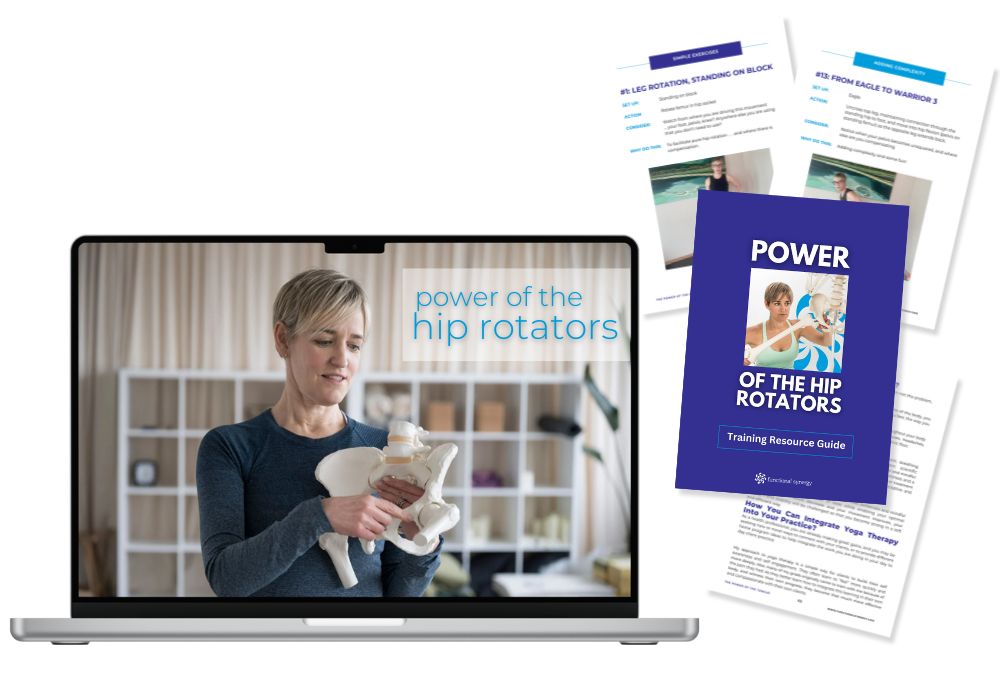 Power of the Hip Rotators Details | Functional Synergy