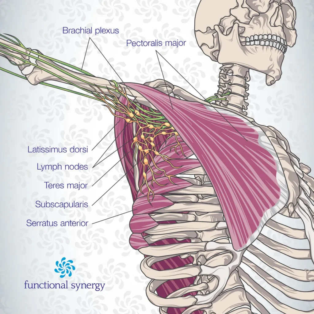 The Power of the Pits(and Beyond) | Functional Synergy
